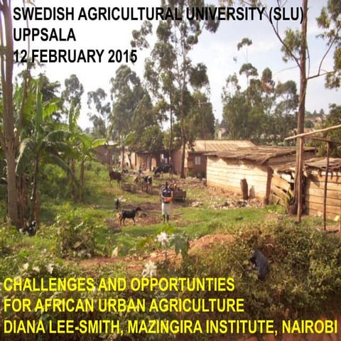 Challenges and Opportunities for Agrican Urban Agriculture | PDF