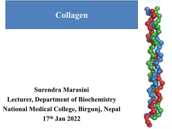 Collagen -Structure and Function | PDF | Chemistry | Science