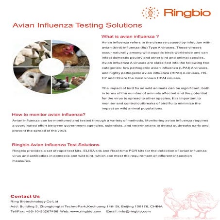 Ringbio Bird flu avian influenza test solutions | PDF