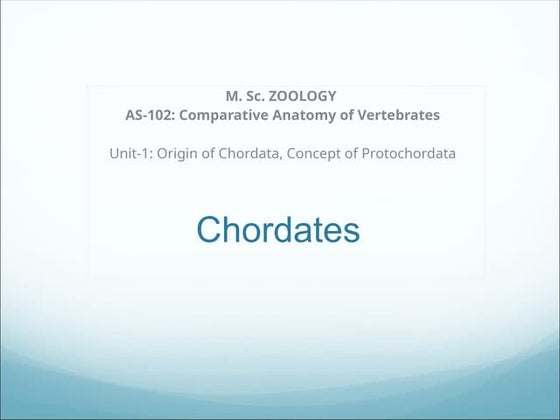 Chordata | PPTX