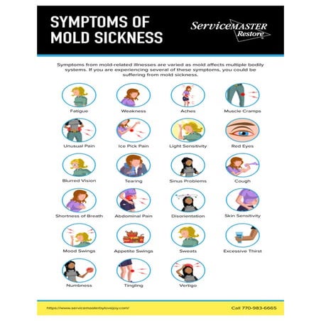Symptoms of Mold Sickness | PDF | Diseases and Conditions | Medical Health