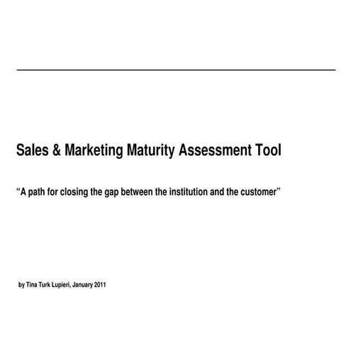 Sales & Marketing Maturity Assessment Tool | PDF