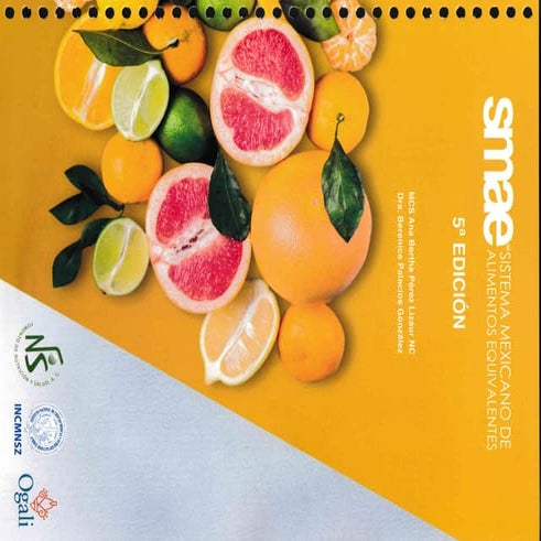 SMAE 5a ed - Ana Bertha Pérez Lizaur.pdf