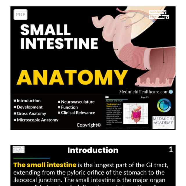 small-intestine-anatomy-.pdf