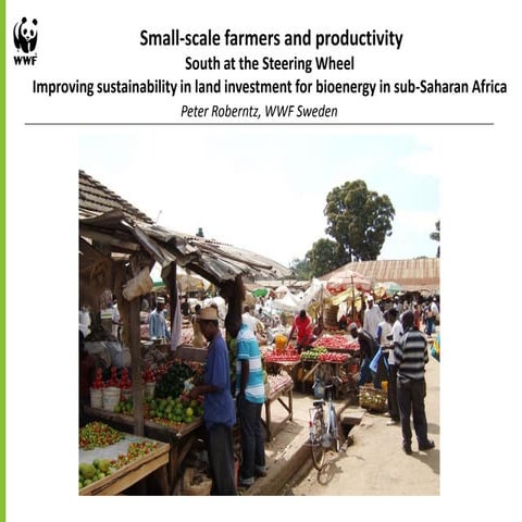 Small-scale farmers and productivity | PDF
