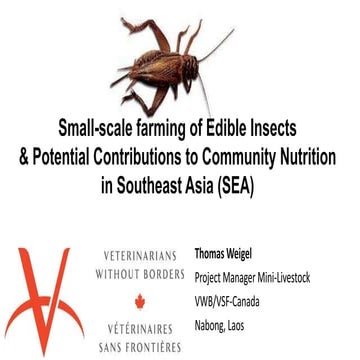 Small-scale farming of Edible Insects & Potential Contributions to ...