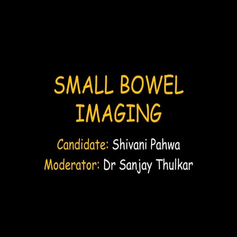 Small bowel imaging small bowel AIIMS .ppt