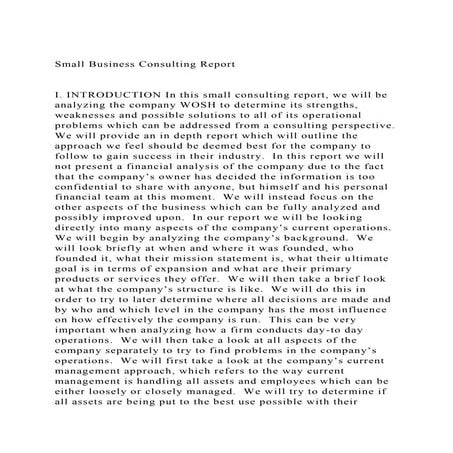 Small Business Consulting Report I. INTRODUCTION In this sma.docx