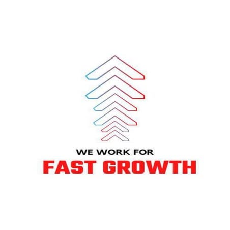 small Business Fast Growth | PDF