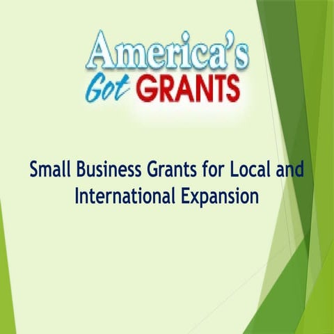 Small Business Grants for Local and International Expansion | PPT