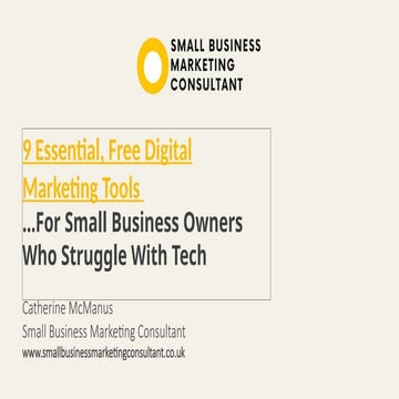 Small Business Marketing Consultant - Digital Marketing Tools 2025.pptx