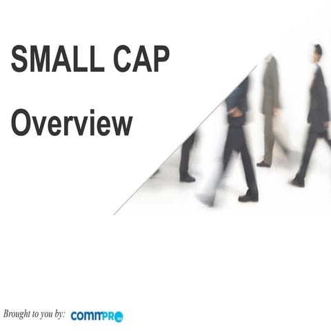 Small Cap Overview | PPT