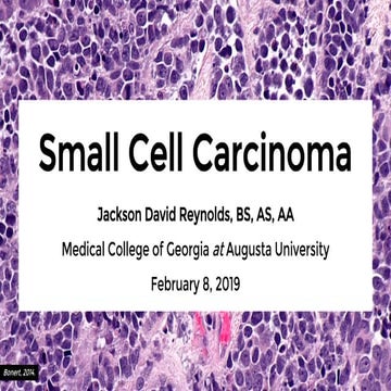 Small Cell Carcinoma – A Pathologic Survey | PDF