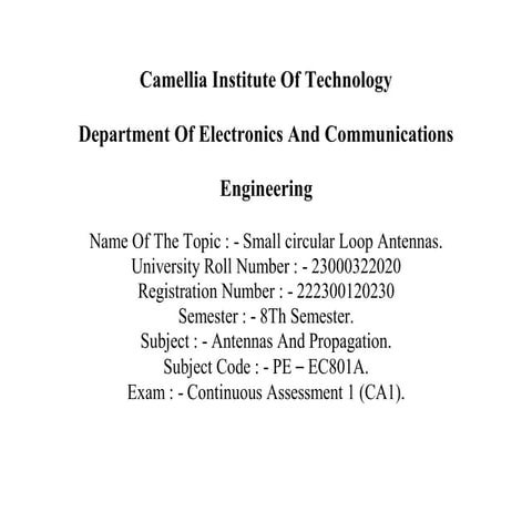 Small Circular Loop Antennas (Soumy1.pdf