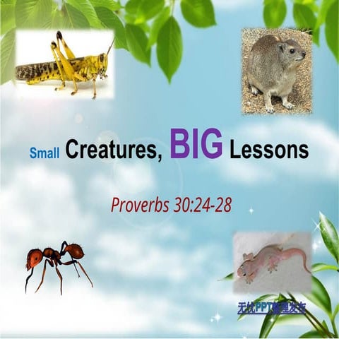 Small Creatures, BIG Lessons: Biblical Wisdom from Proverbs 30:24-28 | PPT