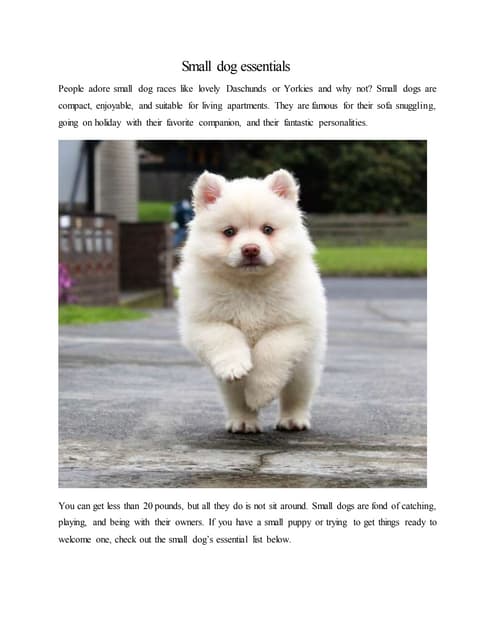 Small pet supplies | PDF