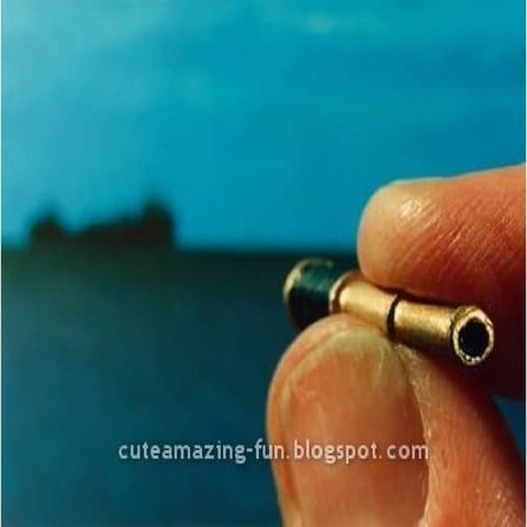 Smallest Things Of World | PPT