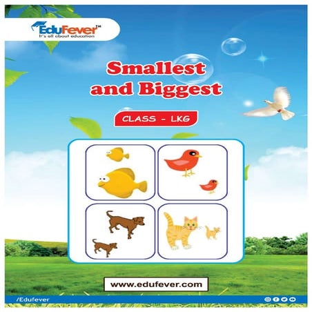 Smallest and biggest - LKG Worksheet | PDF