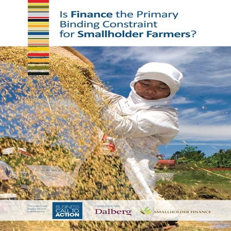 Smallholder farmingandfinancereport | PDF