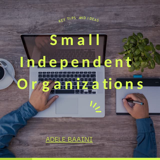 Small Independent Organizations | Adele Baaini | PPTX