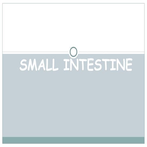 Small intestine physiology | PPT