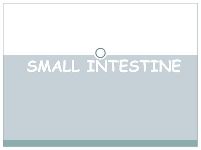 SMALL INTESTINE AND LARGE INTESTINE | PPT