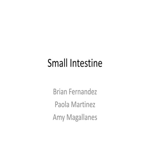 Small intestine | PPT