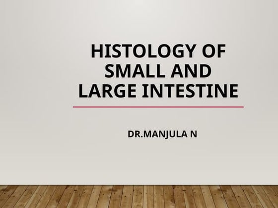 Anatomy of testis | PPTX | Infertility | Reproductive Health