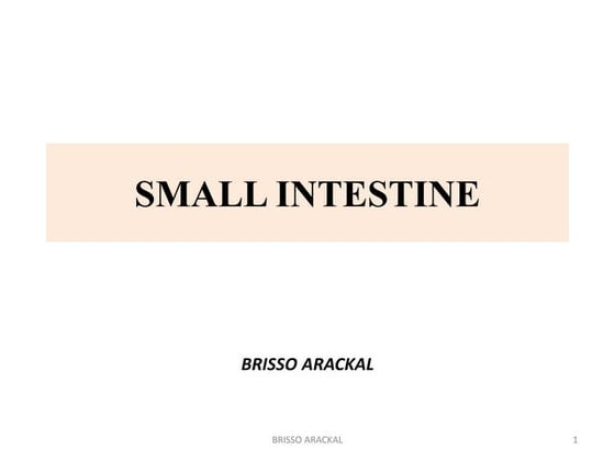 SMALL INTESTINE AND LARGE INTESTINE | PPT