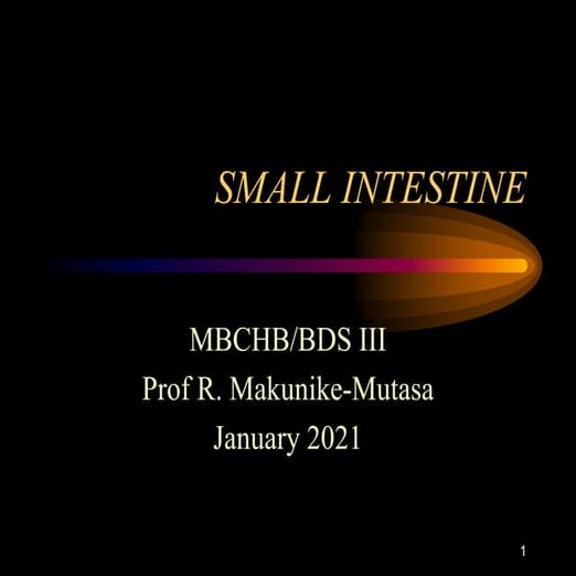 SMALL_INTESTINE__Anatomy lecture 2021.pdf