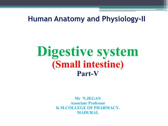 SMALL INTESTINE AND LARGE INTESTINE | PPT