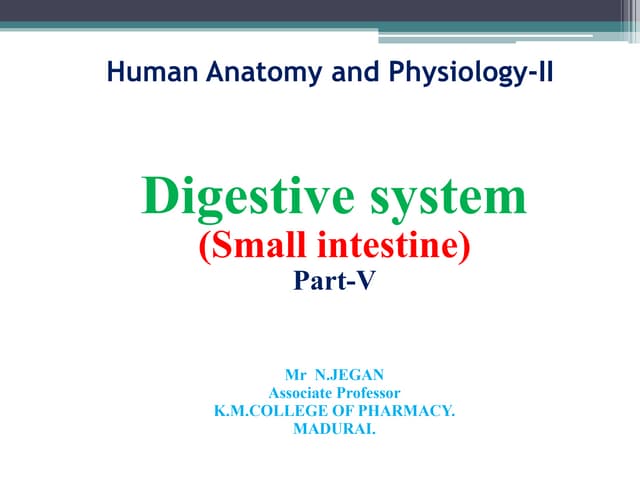 small and large intestine | PDF