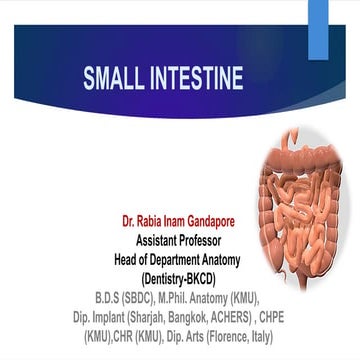 Small Intestine by Dr. Rabia Inam Gandapore.pptx