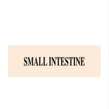 Small intestine detail ( anatomy & physiology) | PDF