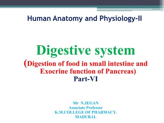 SMALL INTESTINE AND LARGE INTESTINE | PPT