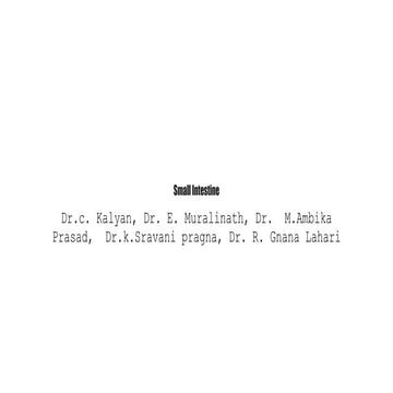 Comprehensive Overview of Succus Entericus: Composition, Function, and ...