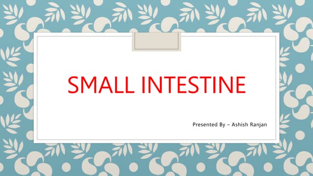 Digestive System Histology | PPT