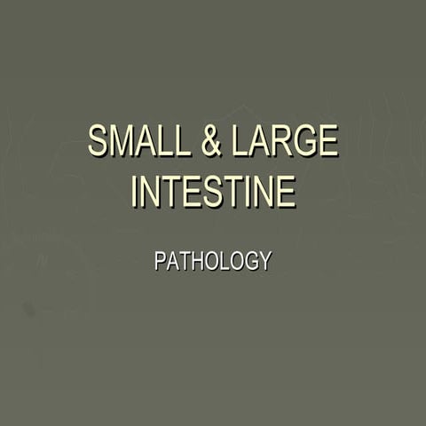 Small & large gut | PPT