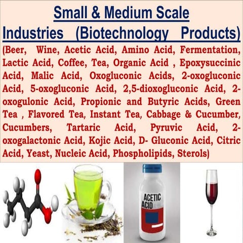 Small & Medium Scale Industries (Biotechnology Products) | PPTX