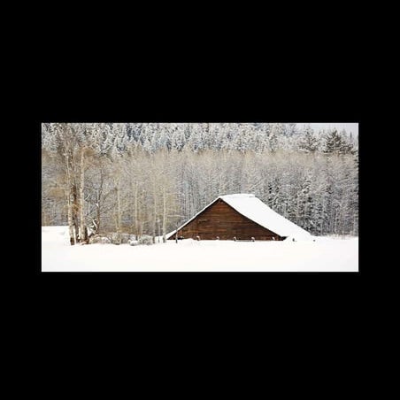 Nature in Color | PDF