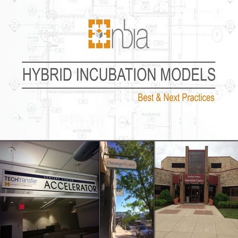 Hybrid Business Incubation Models (NBIA 2015) | PDF