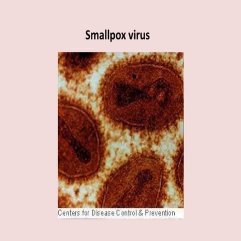 Smallpox virus | PDF