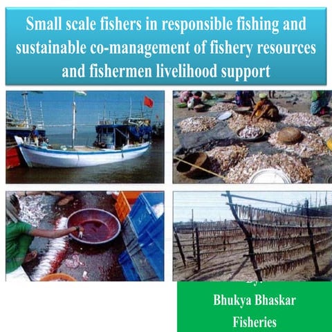 Small scale fishers in responsible fishing and conservation of Aquatic ...