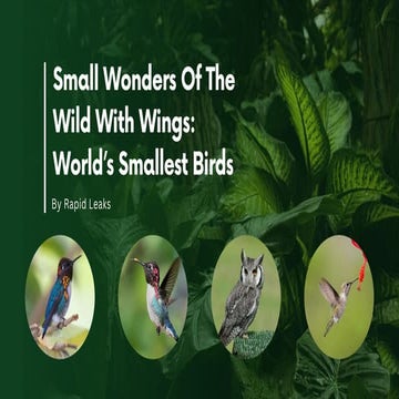 Small Wonders Of The Wild With Wings World’s Smallest Birds.pptx