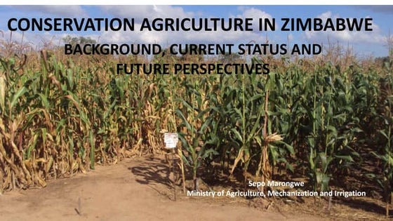 Method of non conventional farming systems | DOCX | Agriculture ...