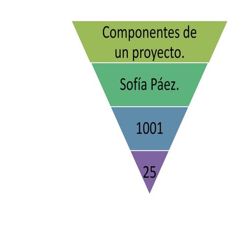Componenetes del proyecto, introduccion, justificacion, objetivos ...