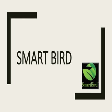 Smart bird | PPTX