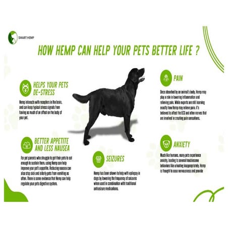 Smart hemp infographics converted | PDF