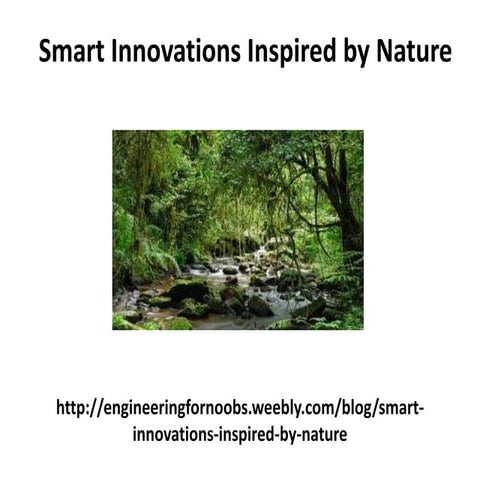 Smart innovations inspired by nature | PPT