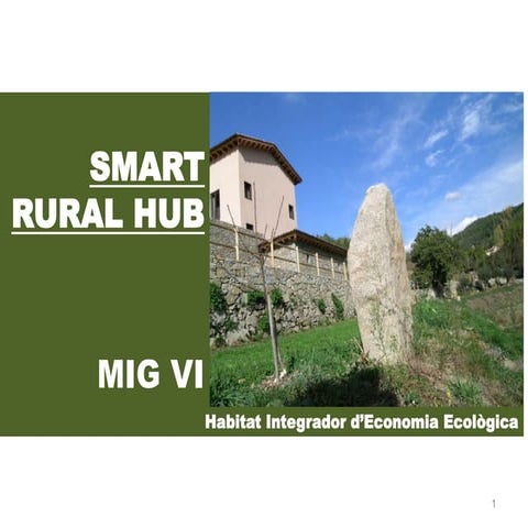 Smart rural hub eng | PDF